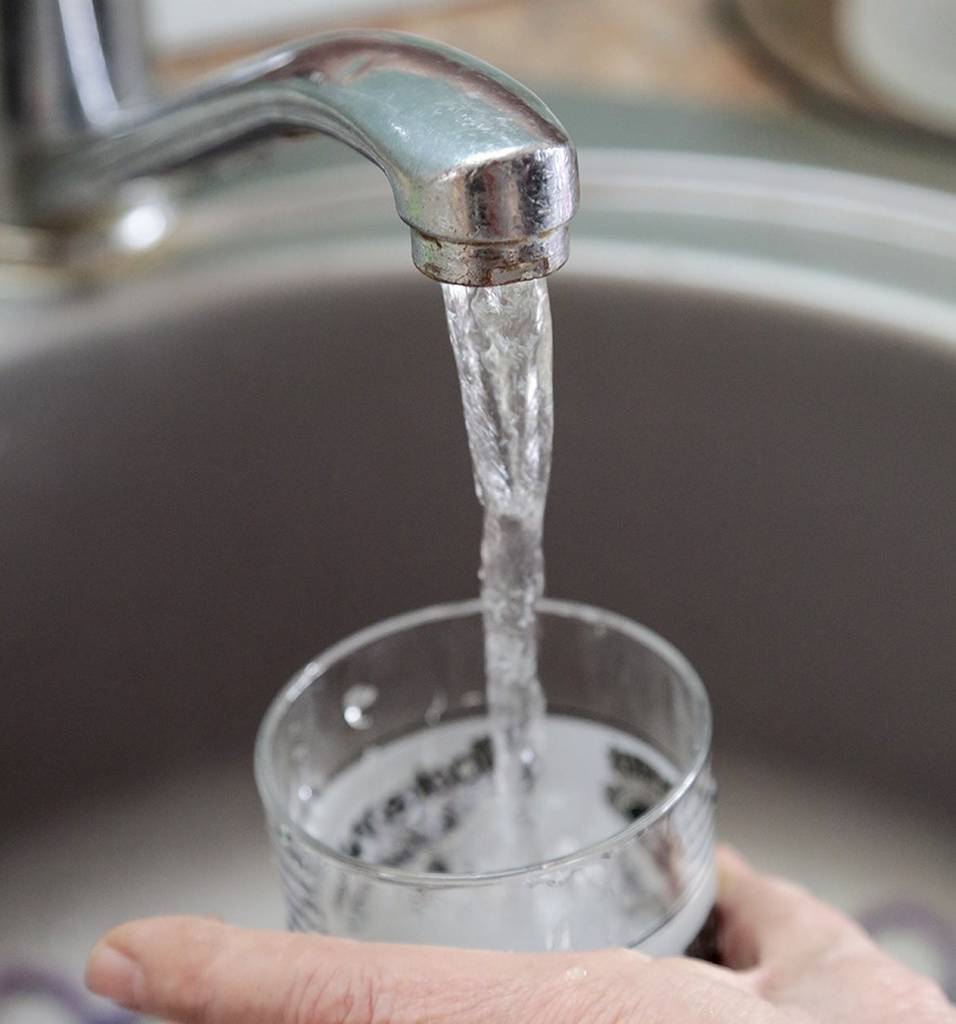 Gyvybės eliksyras • Suvalkietis