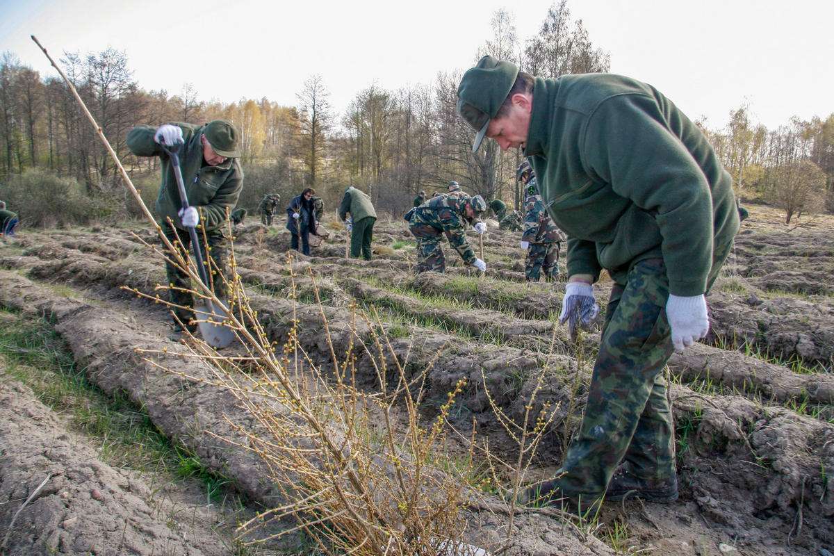 Bendrystės ir sporto šventė Marijampolėje • Suvalkietis